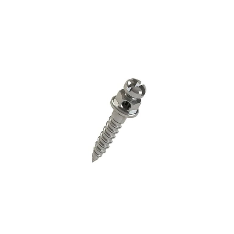Microtornillo Tipo Bracket Horario | Morelli - Alldental